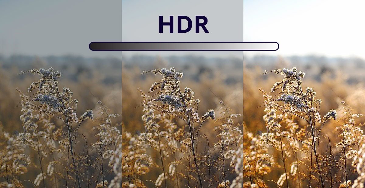 Transcoding Sdk File Based Transcoding Engine With Presets Mainconcept 2691